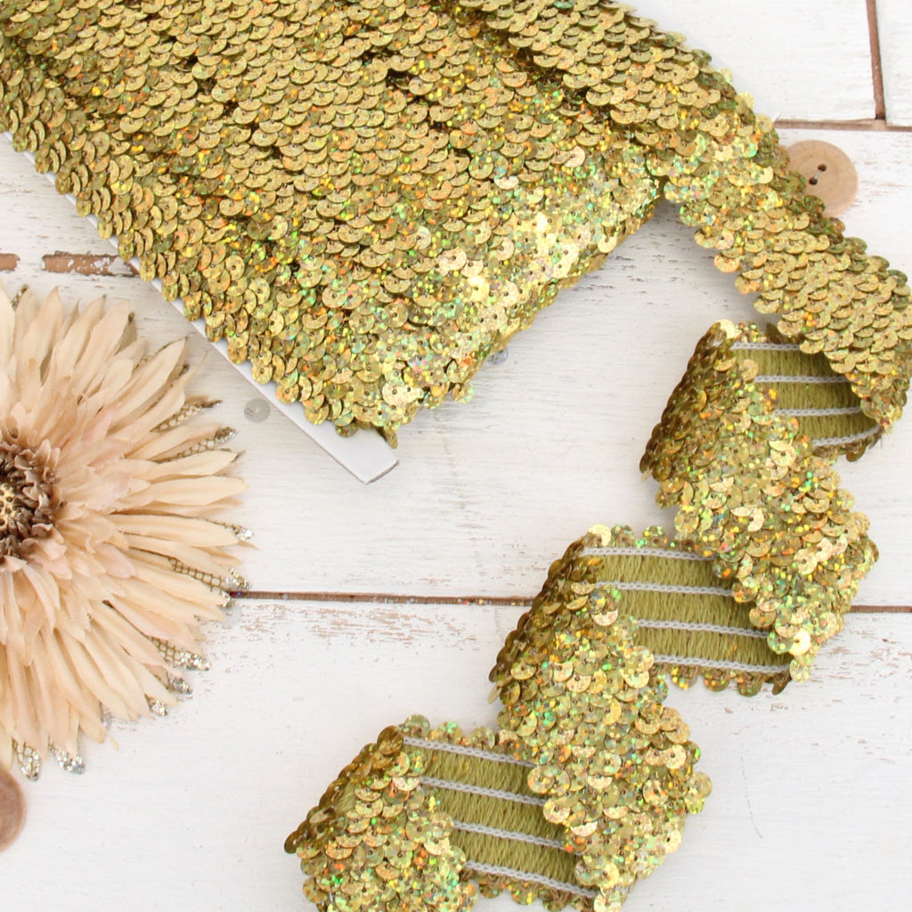 Sequins - Dazzle with Our Extensive Range of Vibrant Craft Sequins: Add ...